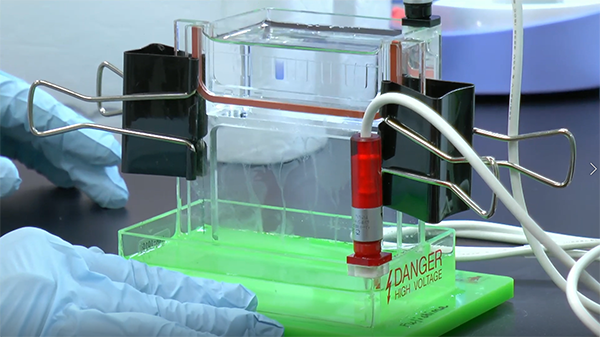 東京工業大学 地球生命研究所 「ELSI実験室LIVE：生命の起源にせまる実験」 YouTube動画